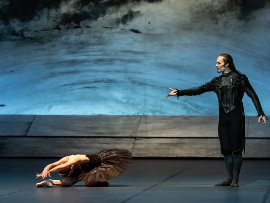 SCHWANENSEE - Bayerische Staatsoper