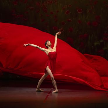 Bayerisches Staatsballett - Bayerische Staatsoper